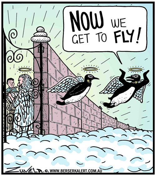 Berserk Alert ® - new Australian cartoonist - comic book, greeting ...